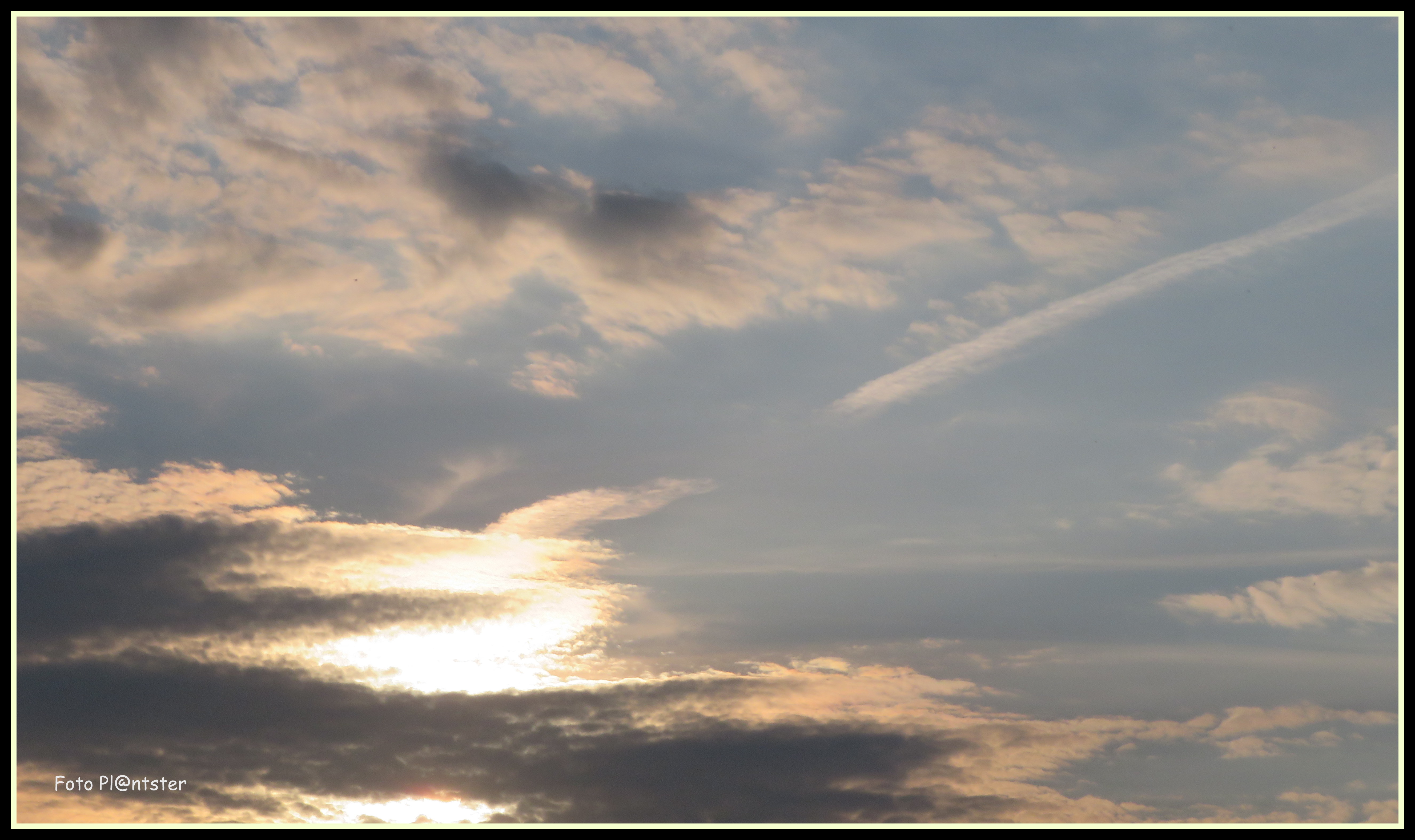 Avond lucht | Groene Vingers