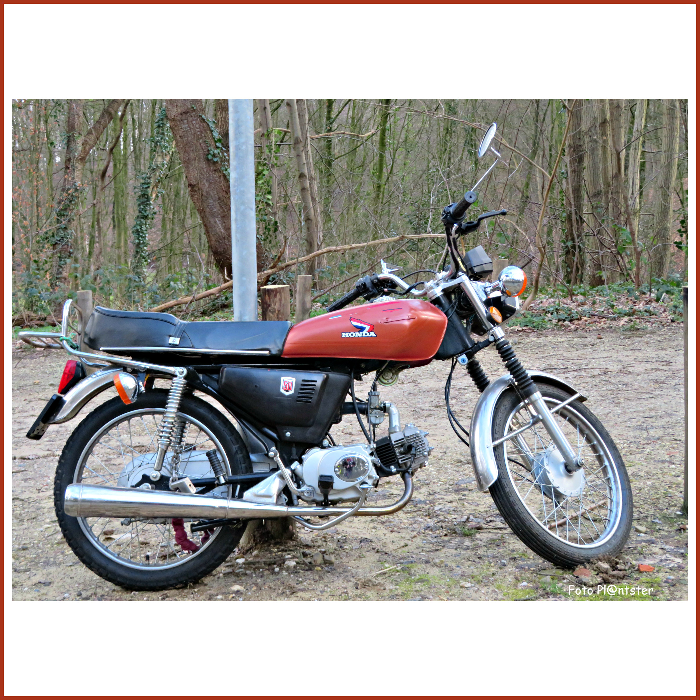 Brommer kiek’n | Groene Vingers