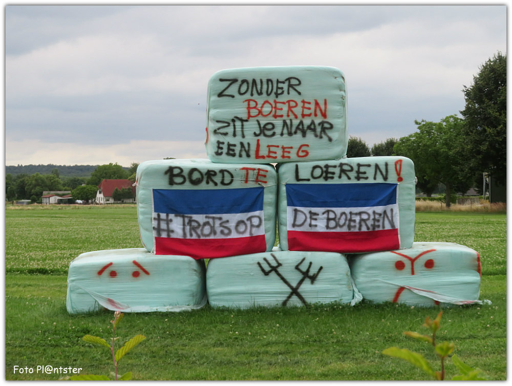 Balen | Groene Vingers