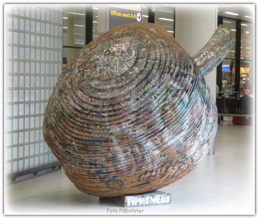 Schiphol appel | Groene Vingers