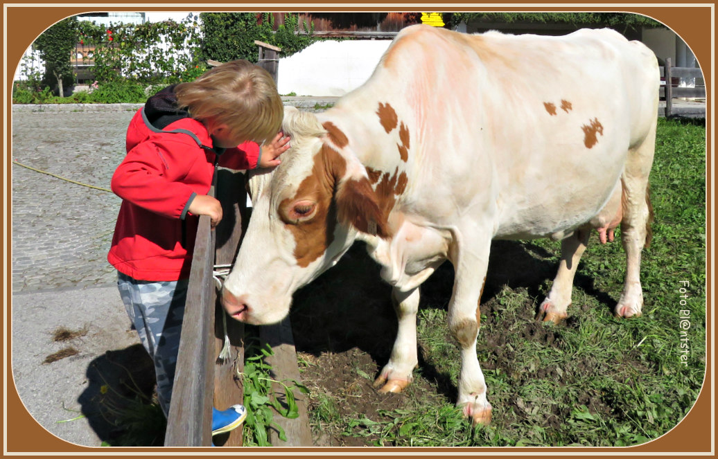 Dierenliefde | Groene Vingers
