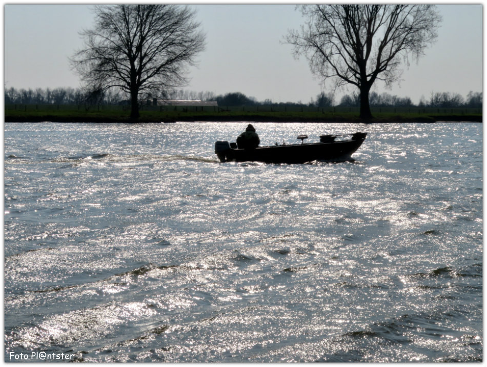 Glinstering | Groene Vingers